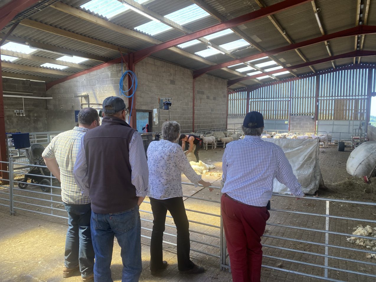 Chedington Estate Open Day - Chedington Estate